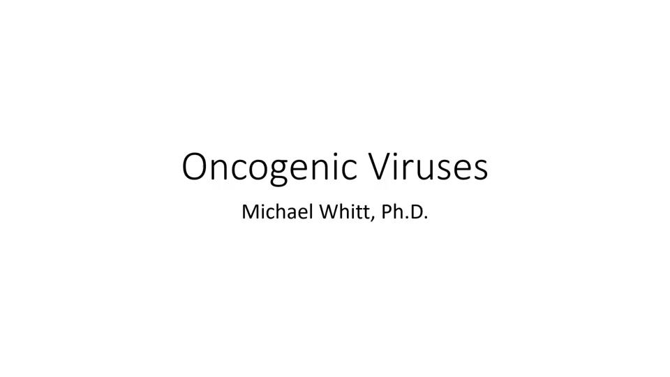 Oncogenic Viruses - CMOD